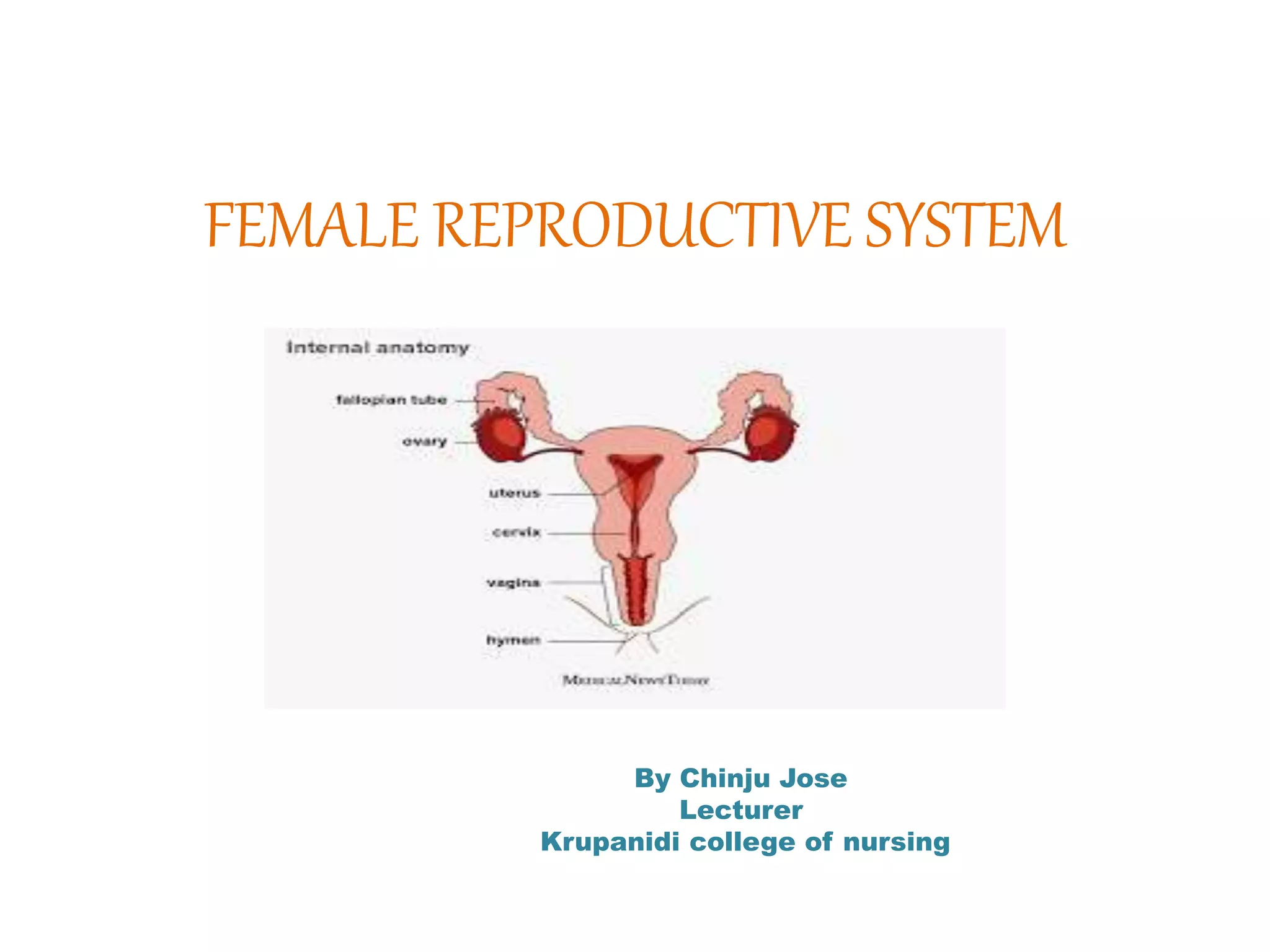FEMALE REPRODUCTIVE SYSTEM.pptx