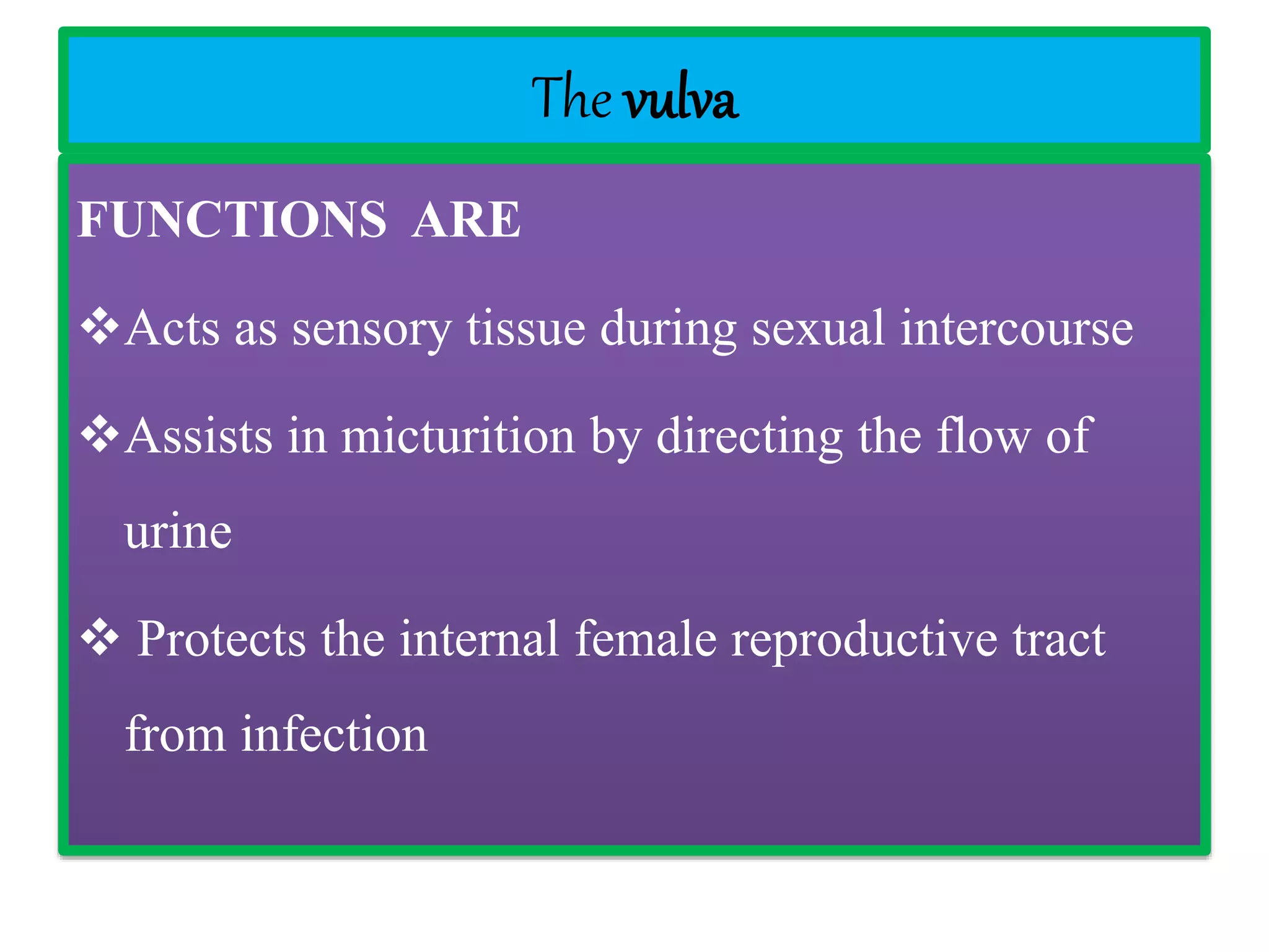 FEMALE REPRODUCTIVE SYSTEM.pptx