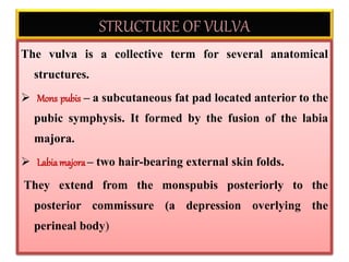 FEMALE REPRODUCTIVE SYSTEM.pptx