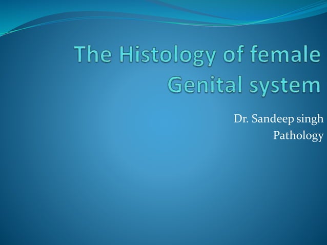 Female Reproductive System Pptx