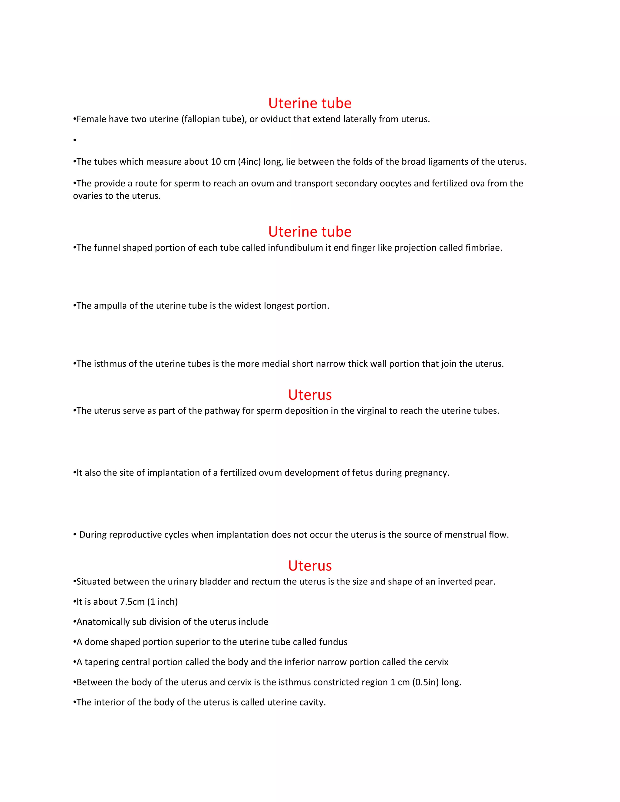 Female Reproductive System.docx