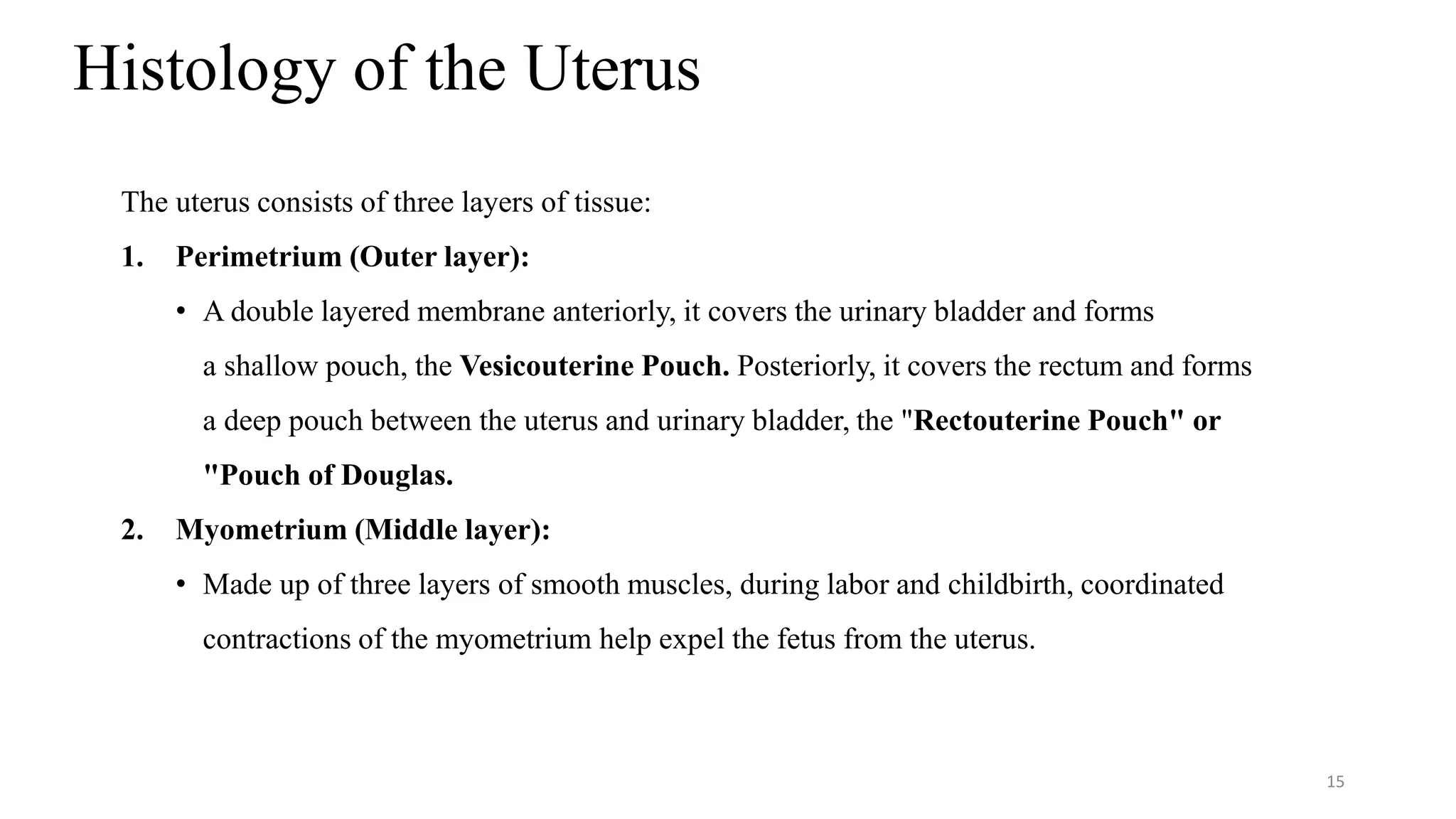 Female Reproductive System_.pptx