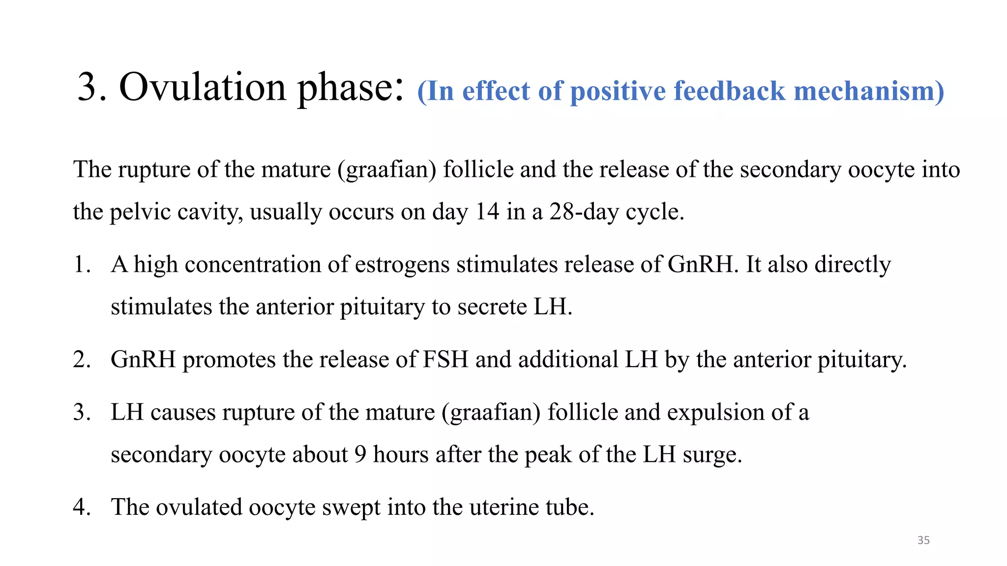 Female Reproductive System_.pptx