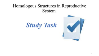 Female Reproductive System_.pptx