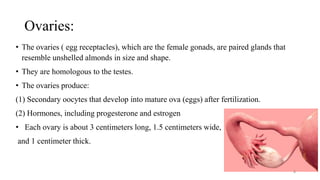 Female Reproductive System_.pptx