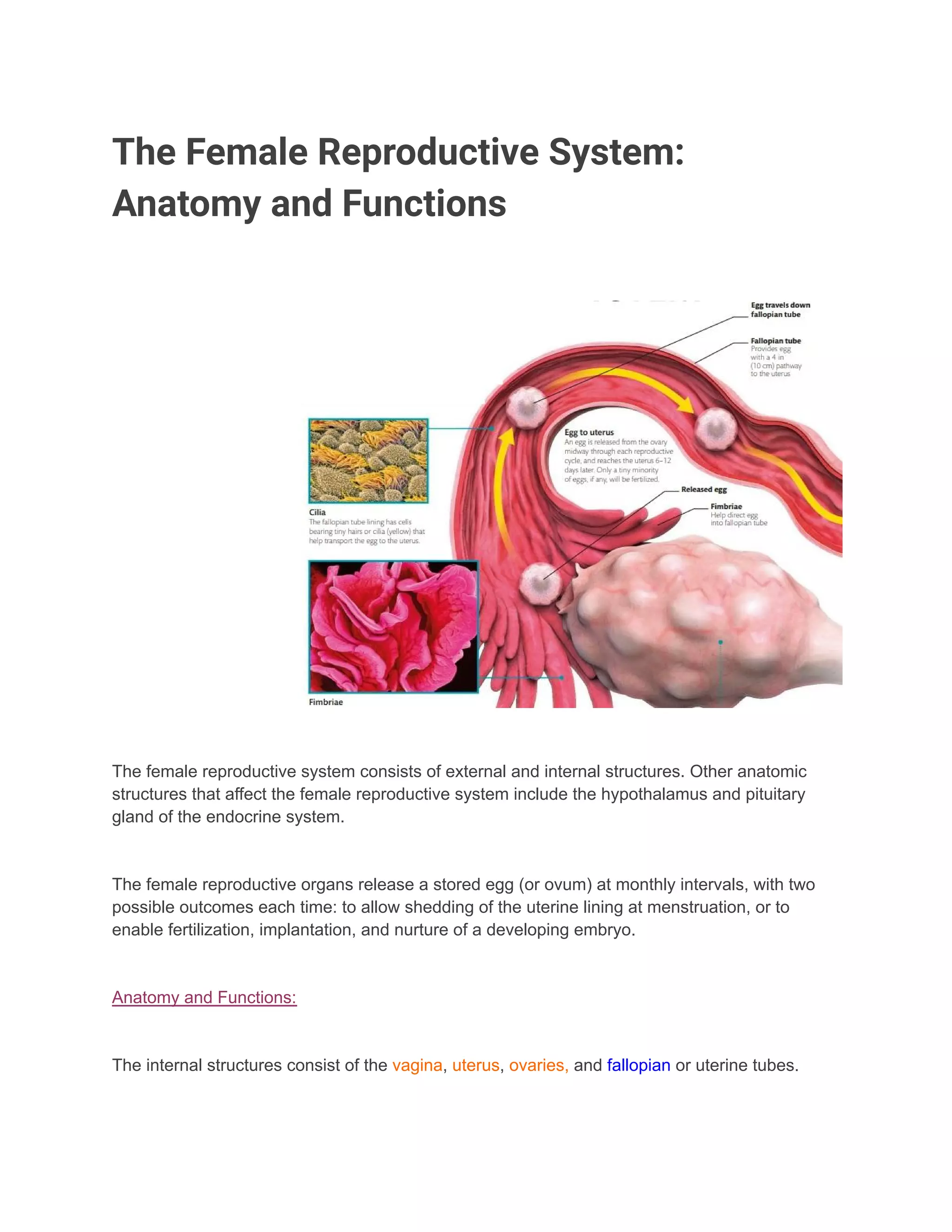 Female Reproductive System.pdf | Infertility | Reproductive Health