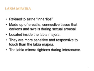 female reproductive system.pptx