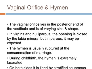 Female reproductive system ibrahim mohammed | PPT