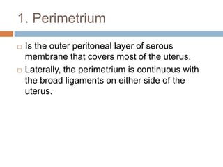 Female reproductive system ibrahim mohammed | PPTX