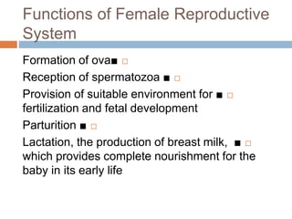 Female reproductive system ibrahim mohammed | PPT