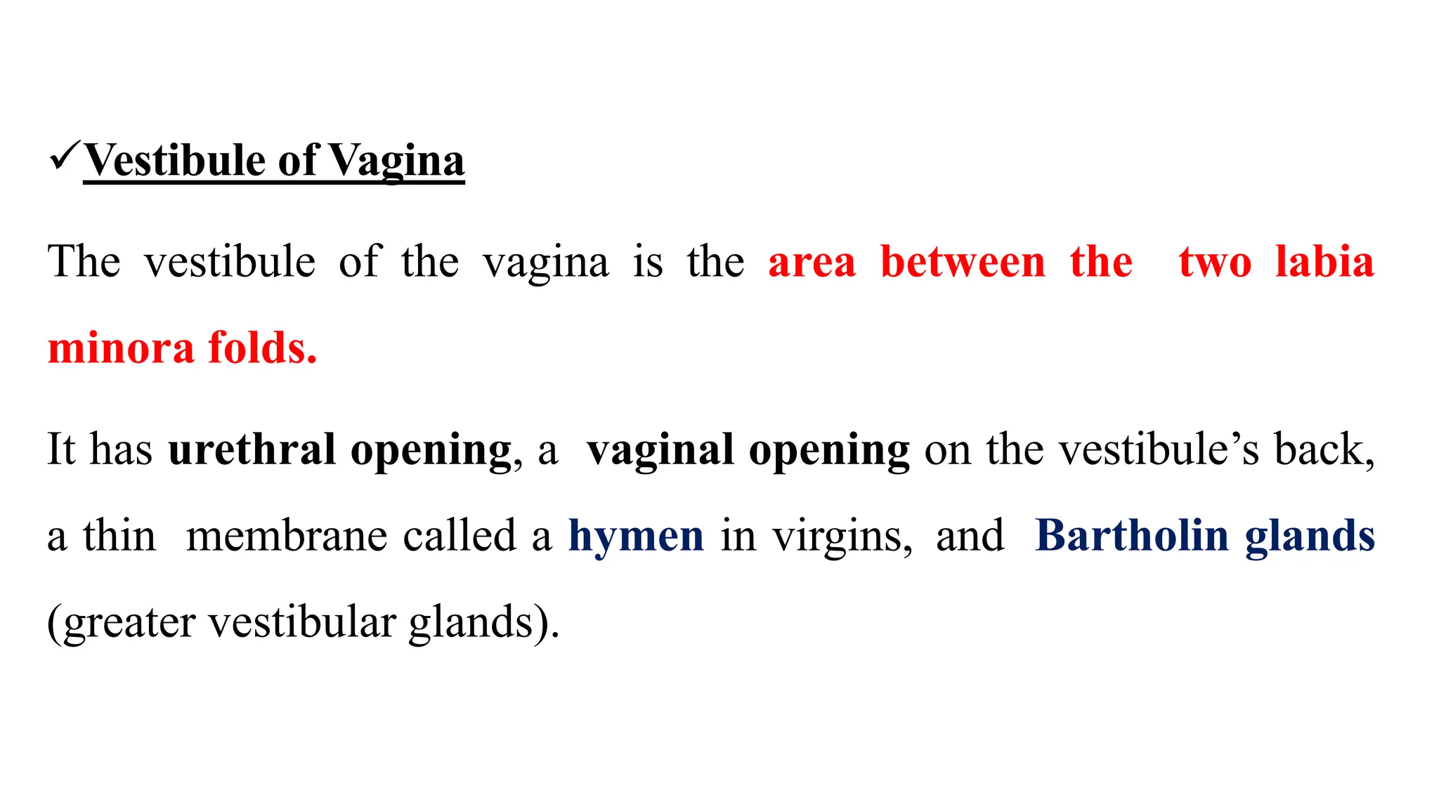 female reproductive system.pptx
