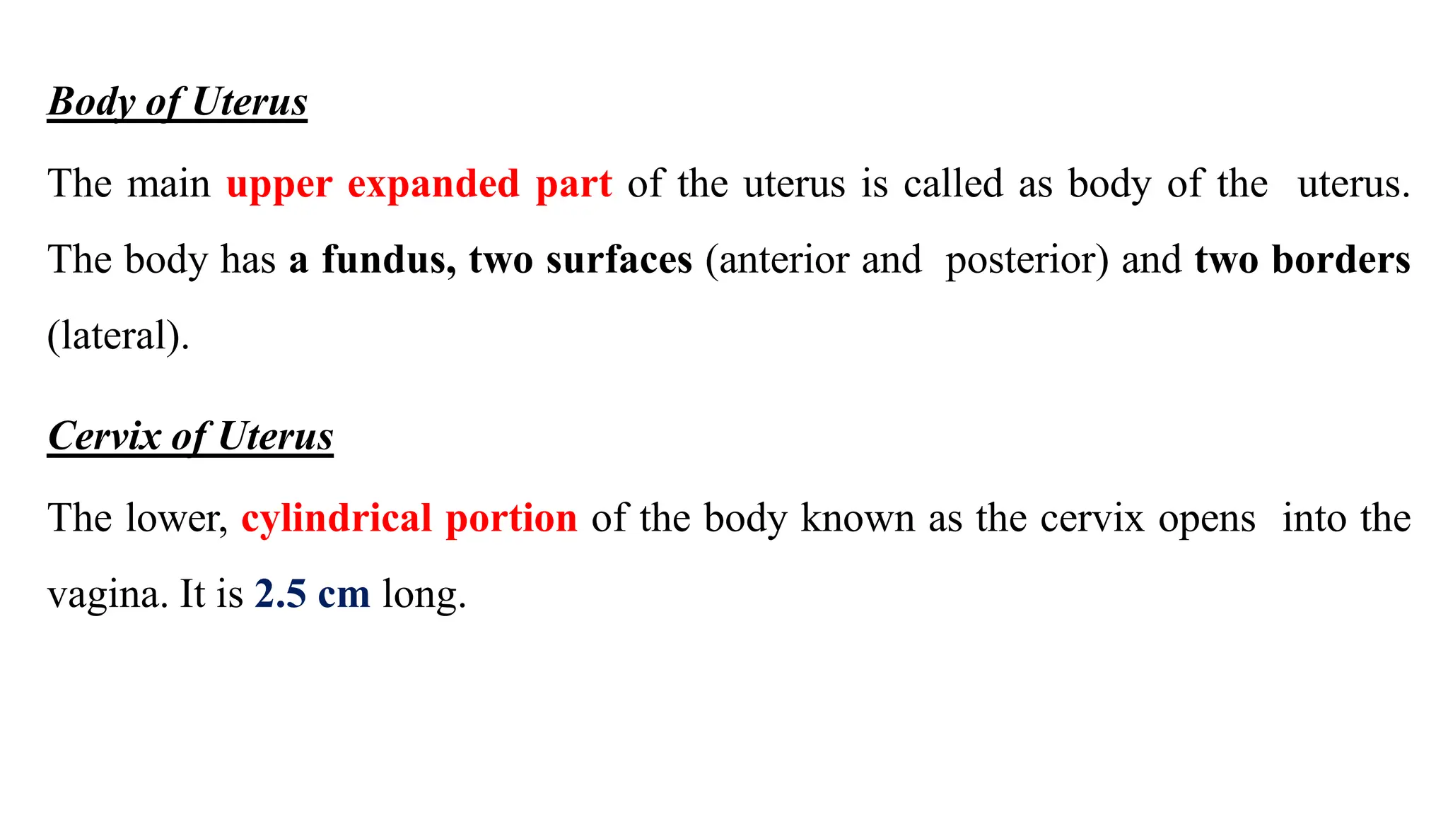 female reproductive system.pptx