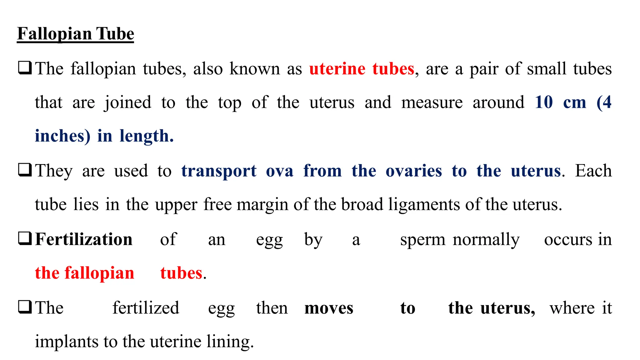 female reproductive system.pptx