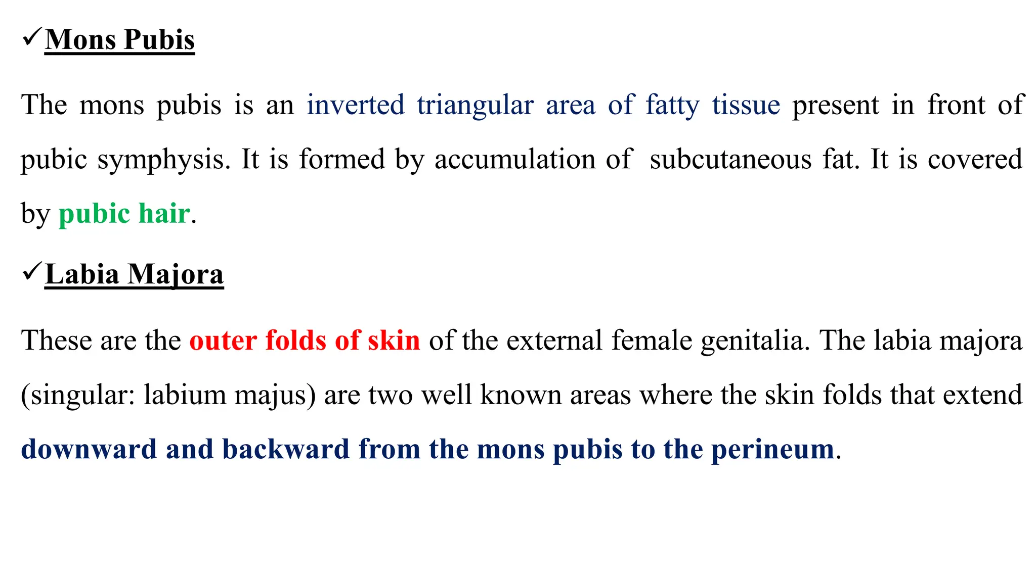female reproductive system.pptx