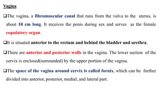 female reproductive system.pptx