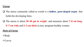 female reproductive system.pptx