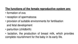 female reproductive system.pptx