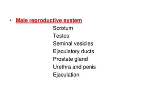female reproductive system.pptx