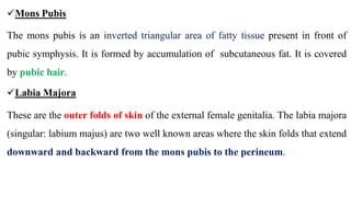 female reproductive system.pptx