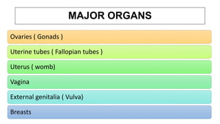 female reproductive system significance , anatomy | PPTX