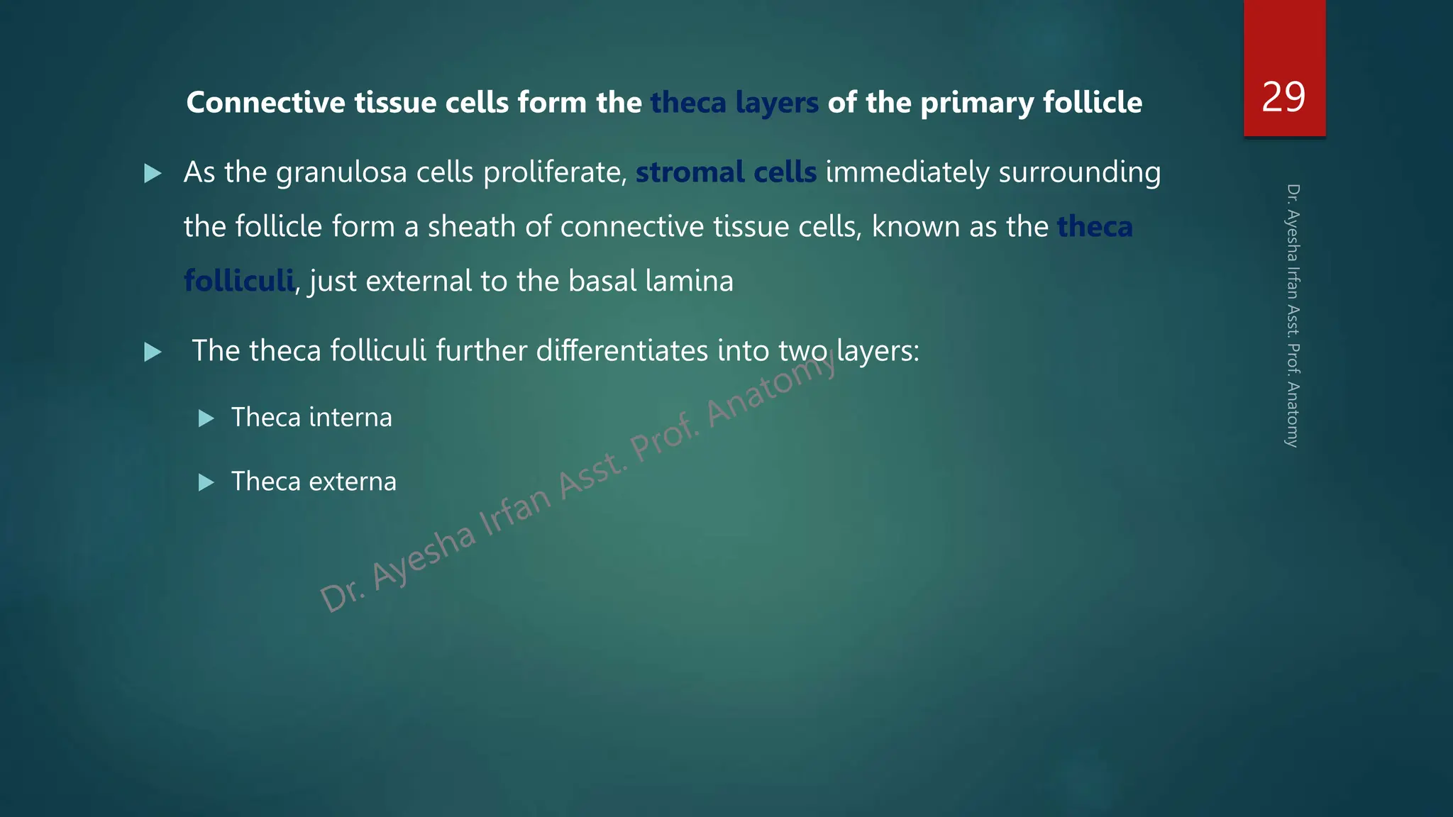 Histololgy of Female Reproductive System.pptx