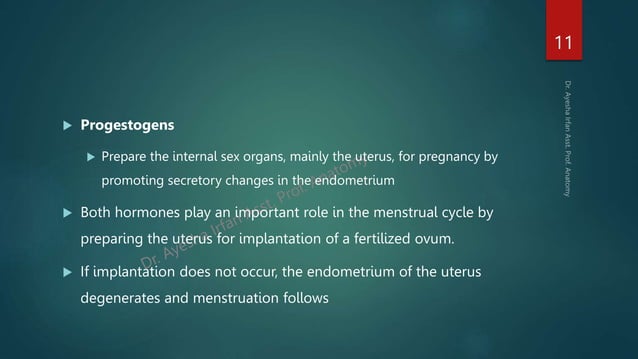 Histololgy Of Female Reproductive System Pptx Pregnancy