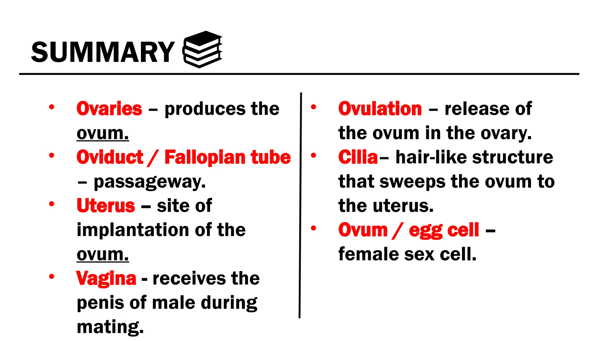 Lesson Female Reproductive System.pptx