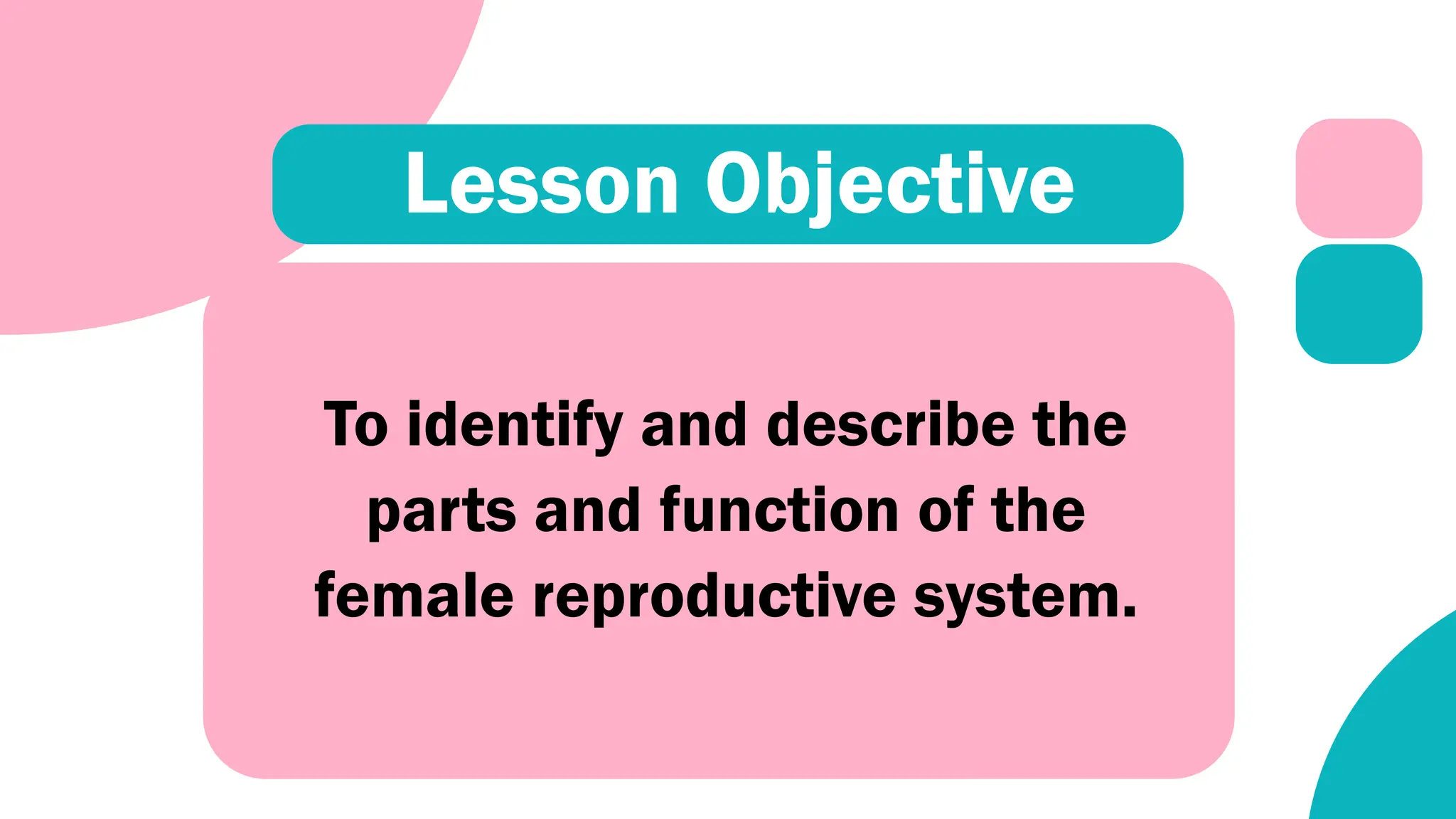 Lesson Female Reproductive System.pptx