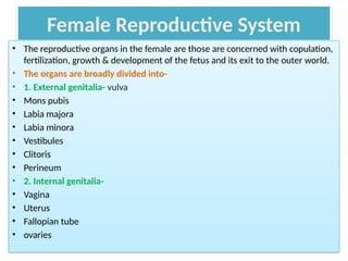 female reproductive system. Pptx by Lalit singh | PPTX