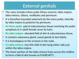 female reproductive system. Pptx by Lalit singh | PPT