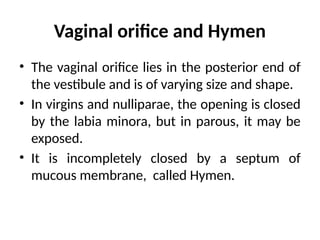 Female Reproductive system.pptxFemale Reproductive syste | PPT