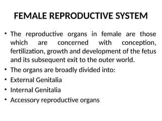 Female Reproductive system.pptxFemale Reproductive syste | PPTX