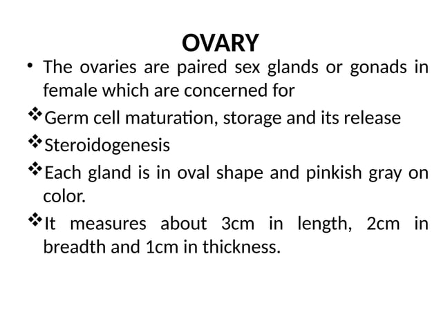Female Reproductive system.pptxFemale Reproductive syste | PPT