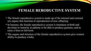 Female_Reproductive_System presentationn | PPTX