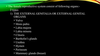 Female_Reproductive_System presentationn | PPTX