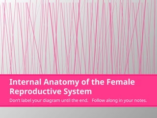 Female Reproductive System of the Human.pptx