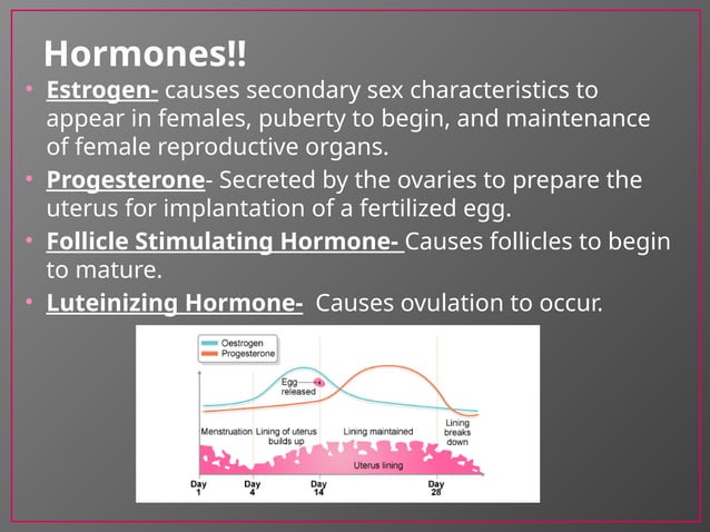 Female Reproductive System of the Human.pptx