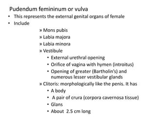 Overview of the Female reproductive system | PPT