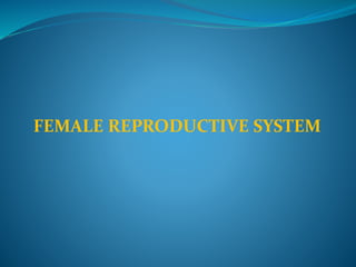 Female Reproductive System.pdf along all its organs | PPT