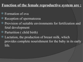 The Female Reproductive System with Photos | PPTX