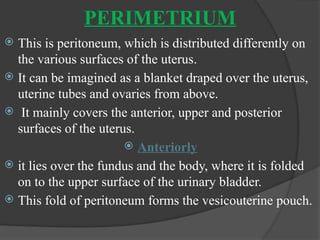 The Female Reproductive System with Photos | PPTX