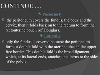 The Female Reproductive System with Photos | PPTX