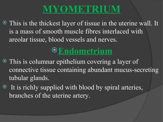 The Female Reproductive System with Photos | PPTX