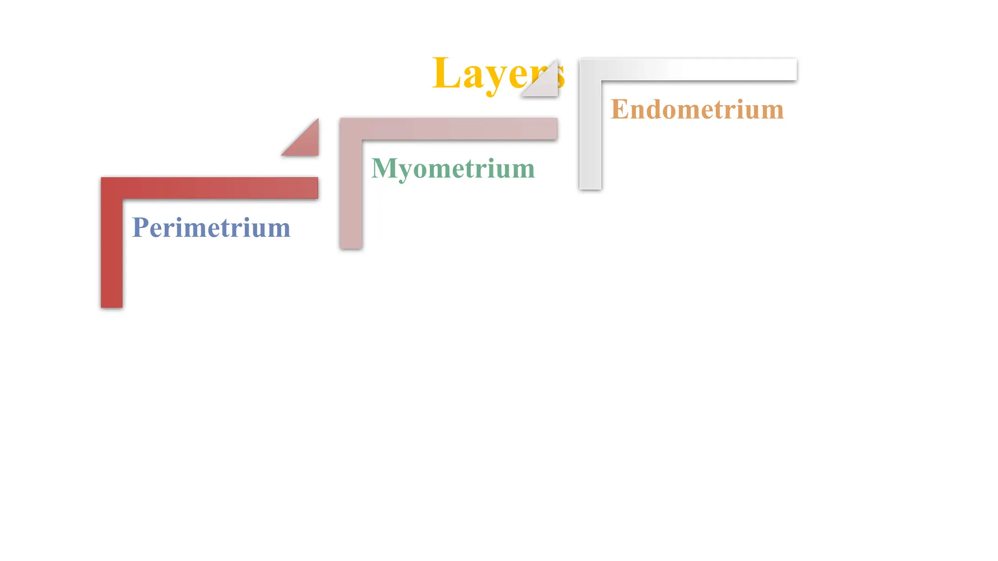 FEMALE REPRODUCTIVE SYSTEM ppt | PPTX
