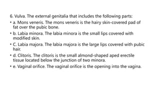 GRADE 10 FEMALE REPRODUCTIVE SYSTEM.pptx