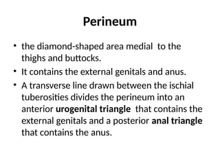 ANATOMY AND PHYSIOLOGY OF HUMAN FEMALE REPRODUCTIVE SYSTEM | PPTX