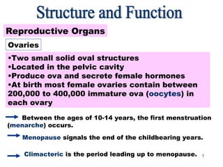 female reproductive system.... ppt for medical students | PPT