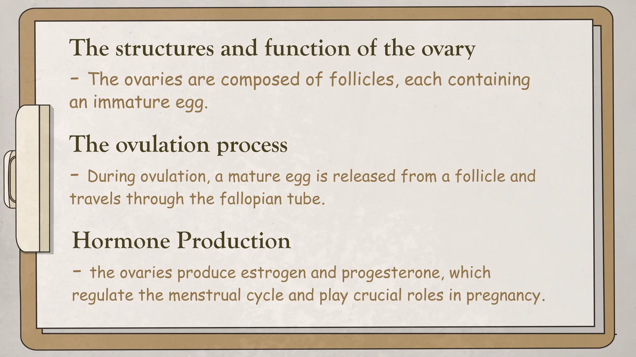 Female Reproductive System..........pptx