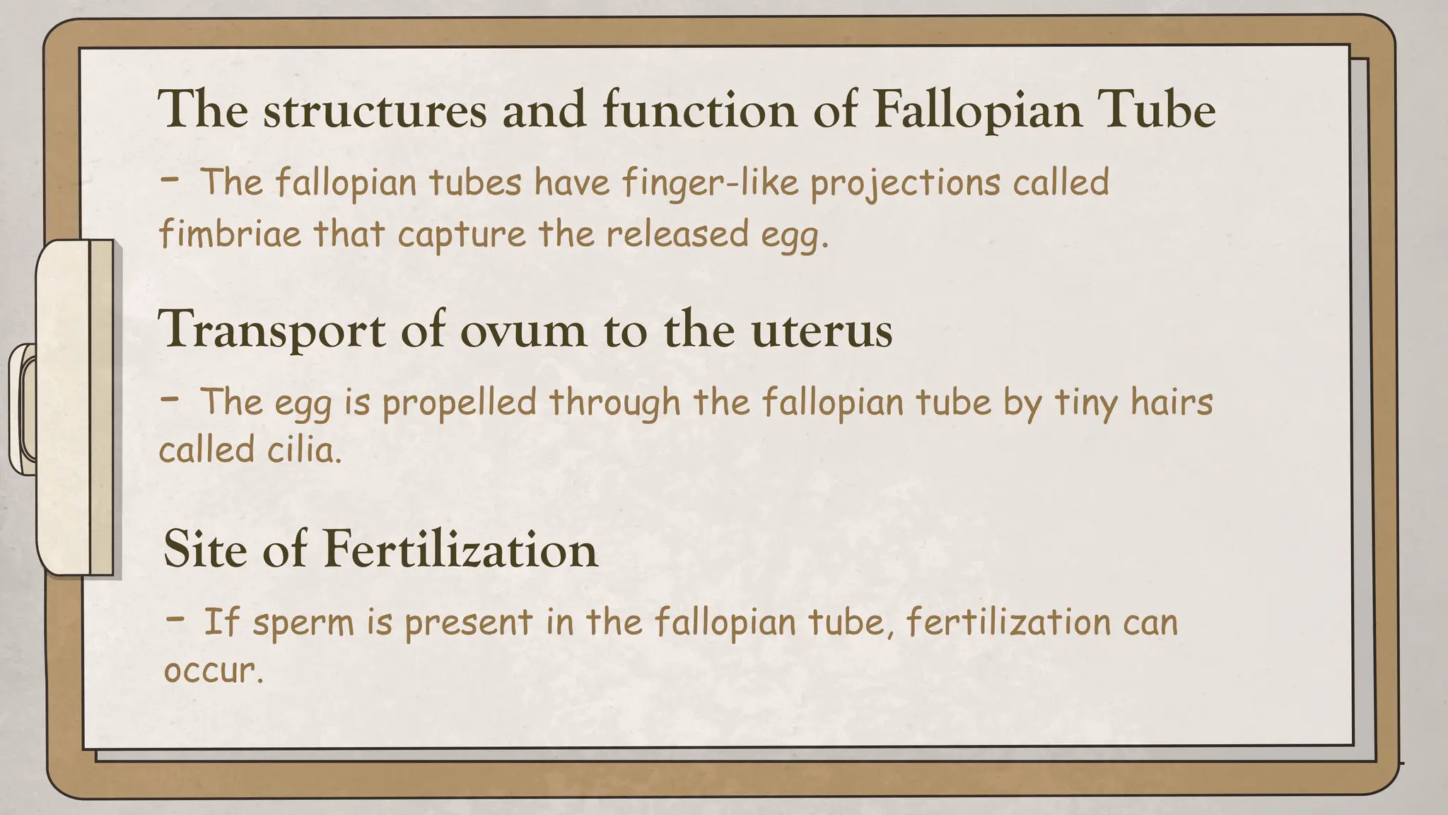 Female Reproductive System..........pptx