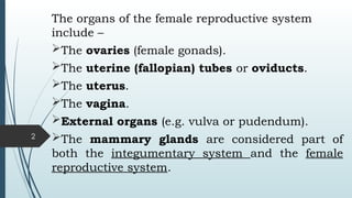 Female Reproductive System.pptx including all points | PPTX